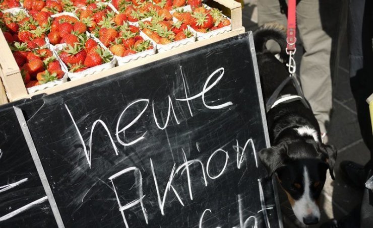 Zürich’s Farmers Markets Have You Covered - Newly Swissed Online Magazine