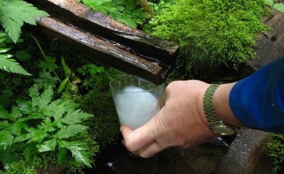 Absinthe's Rebirth in Switzerland (Part 2)