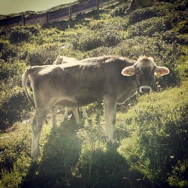 20 Best Instagram Shots of Summer