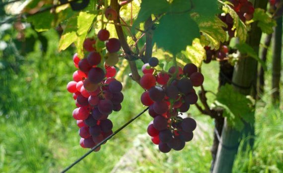 Hiking to the Tamina Gorge in Bad Ragaz