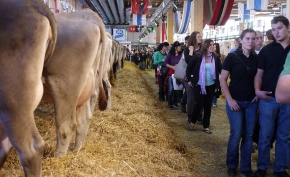 Inside the Olma Agricultural Fair in St. Gallen - Newly Swissed