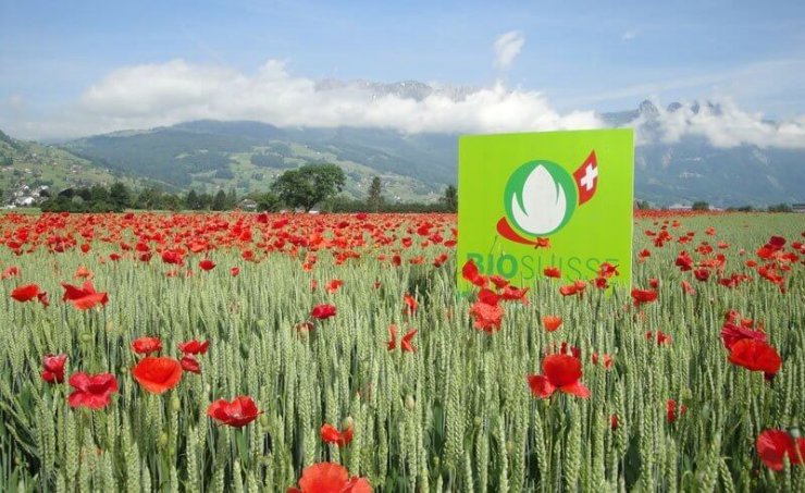 Why Bio Suisse benefits future generations