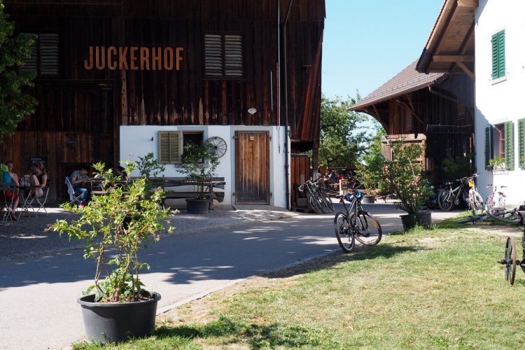 Spend a day at Jucker Farm, a favorite destination for all ages