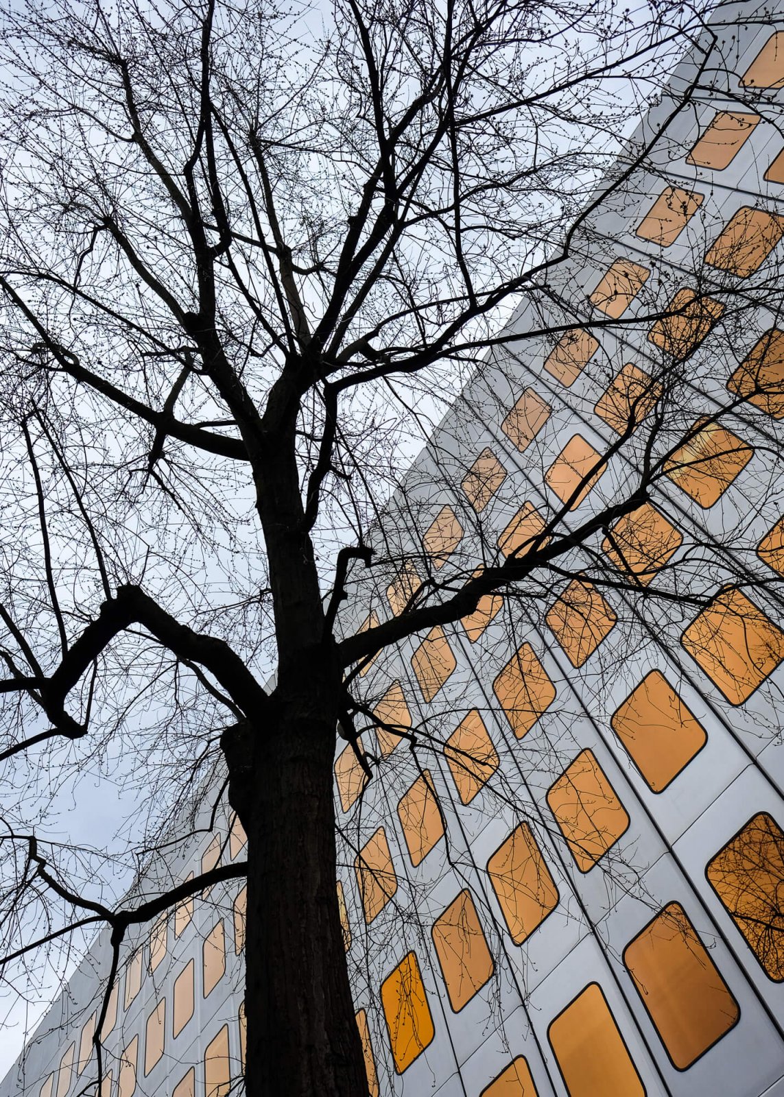 These photographs show the best architecture at Lake Geneva