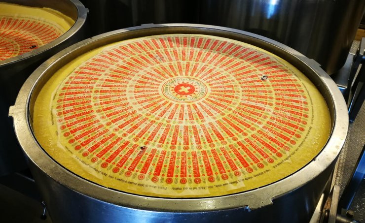 Was Mickey Mouse Making Swiss Cheese? (Urban Myth)