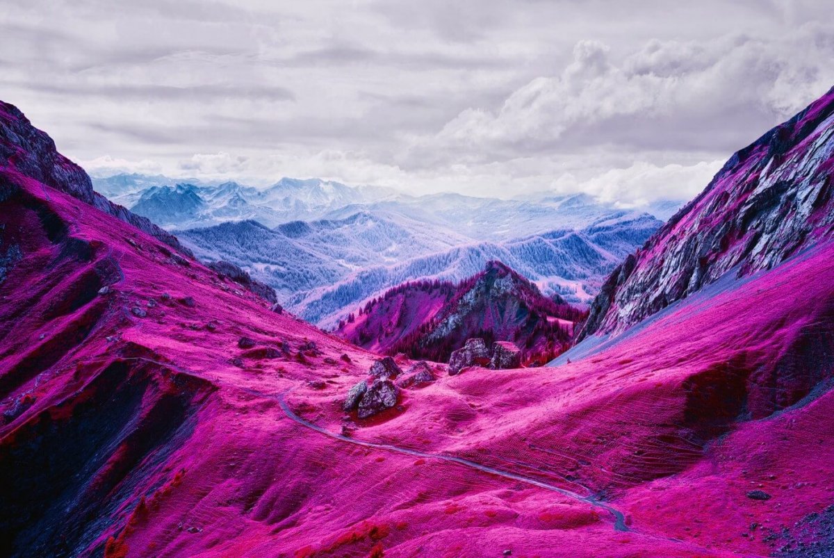 Infrared Photographer Zak van Biljon on Breaking the Rules - Newly ...
