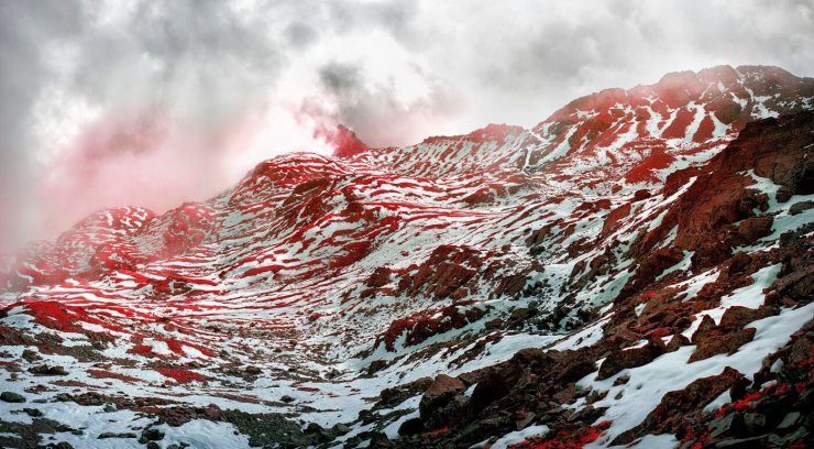 Infrared Photographer Zak van Biljon on Breaking the Rules - Newly ...