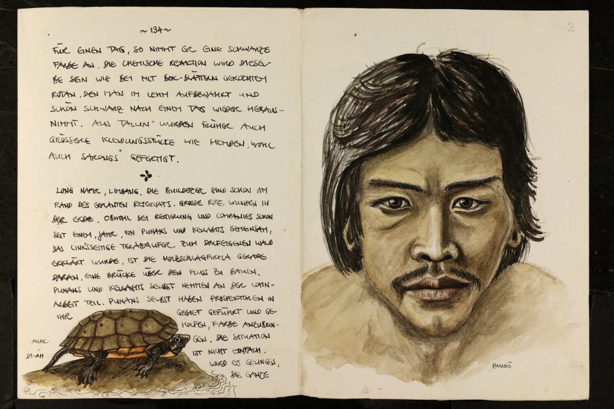 Paradise War: my review of the 2019 movie about Bruno Manser - Newly ...