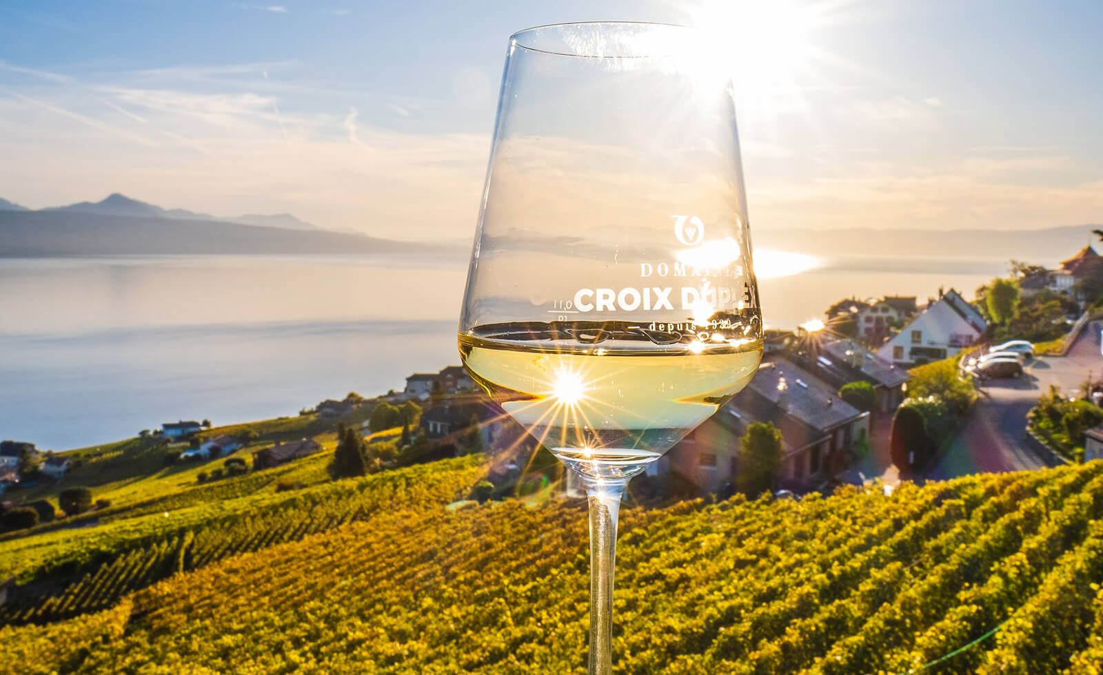 Why you should visit the Croix Duplex winery near Lausanne