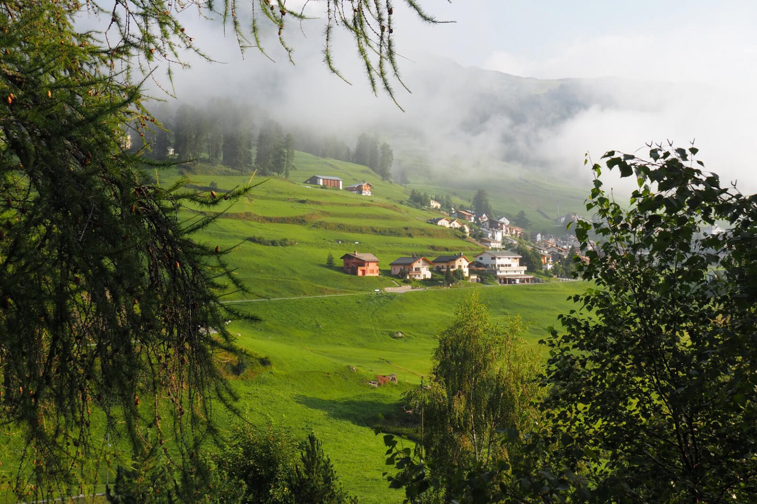 Psst! Here's a peek at the members-only Hotel Paradies Ftan