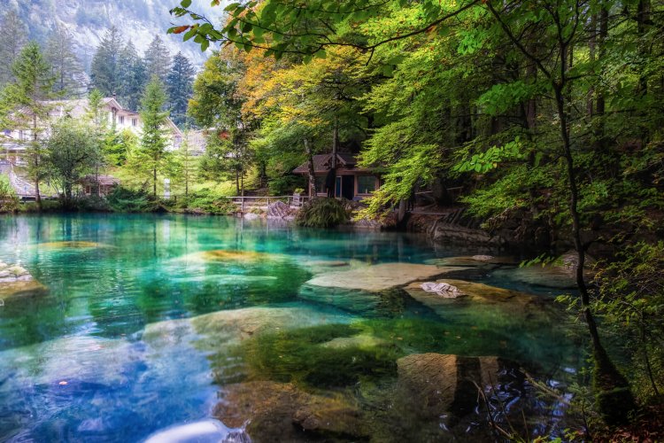 Lake Blausee: Switzerland’s Year-Round Blue Wonder (Photo Guide ...