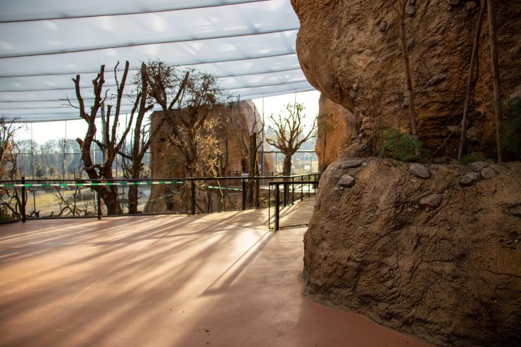 The Lewa Savanna at Zoo Zürich offers an escape to Kenya