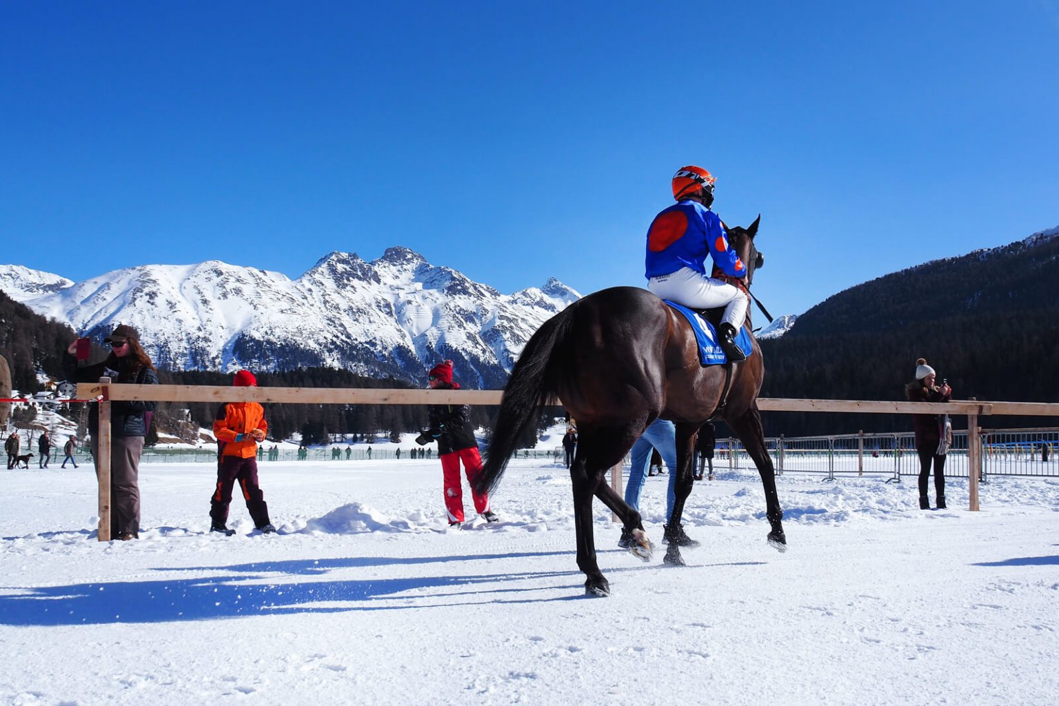 Have you wondered what White Turf in St. Moritz is about? - Newly ...
