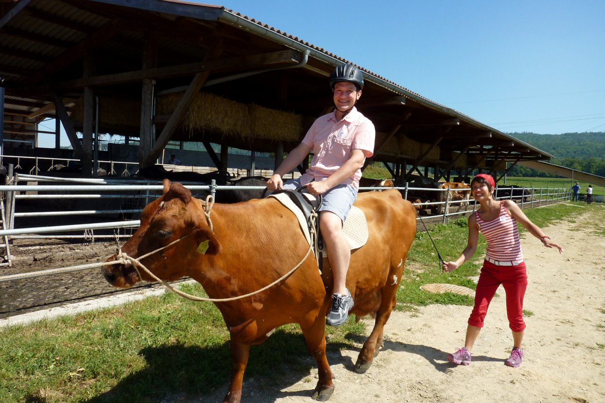 We've tried cow trekking in Switzerland (it was udderly fun)