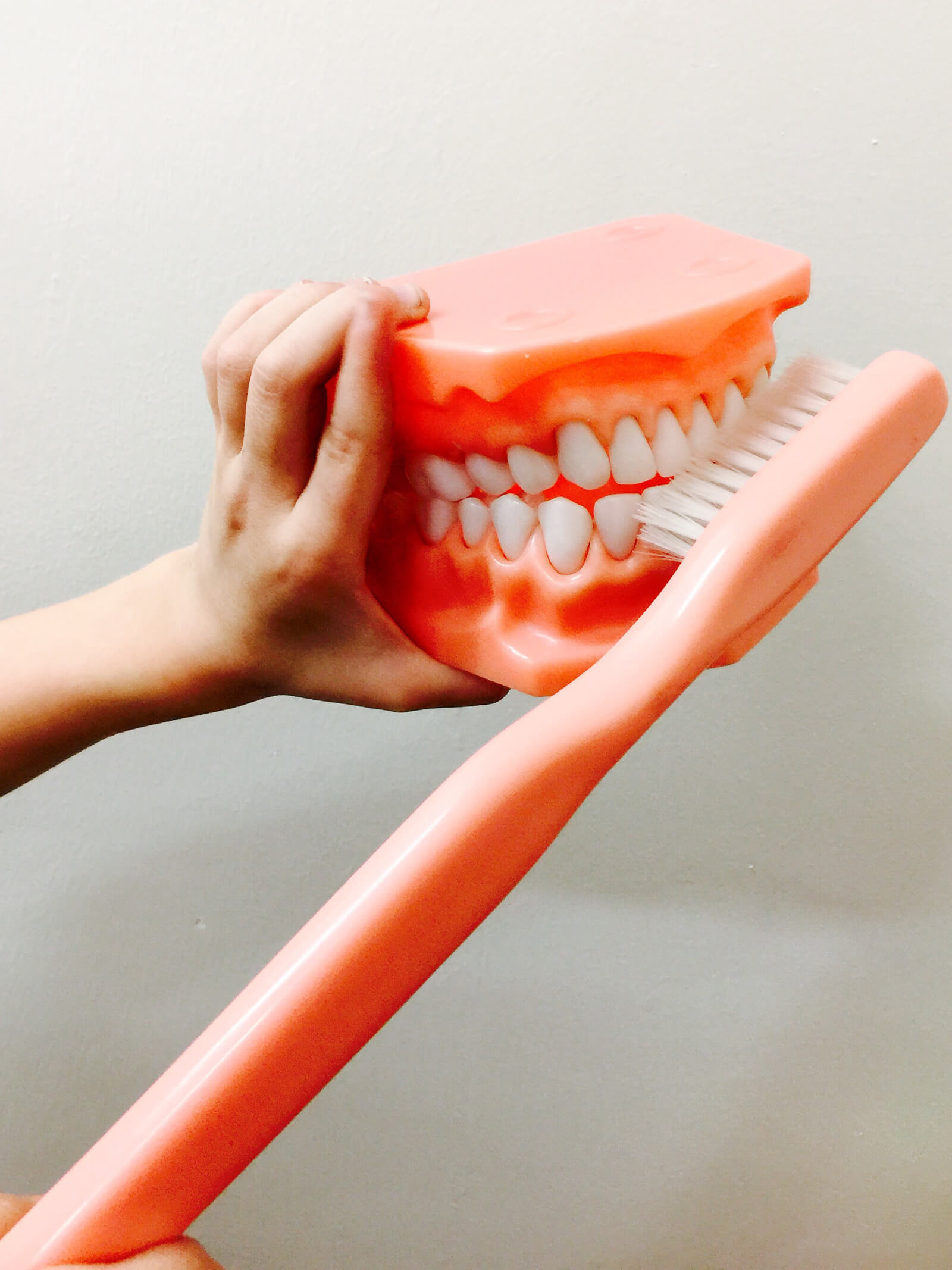 Here are 19 definite signs of growing up in Switzerland