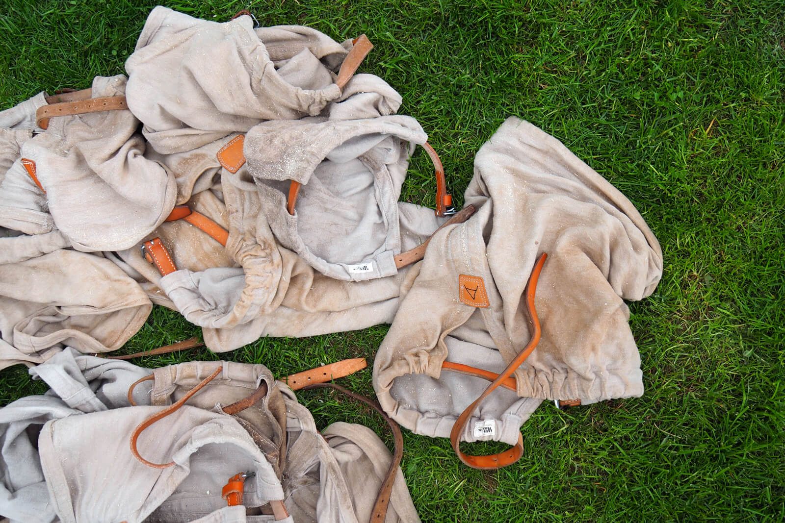 15 unmistakable signs that you're becoming Swiss