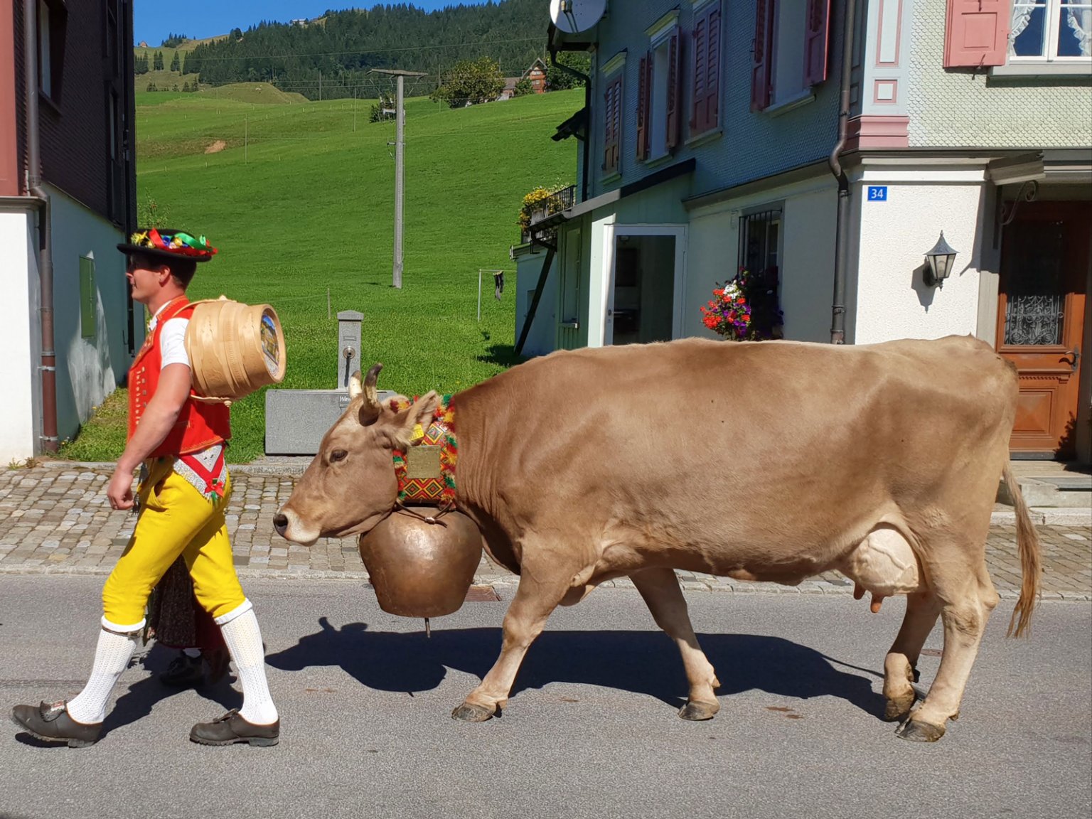 13 Clichés About Switzerland (And Proof That They’re True) - Newly ...