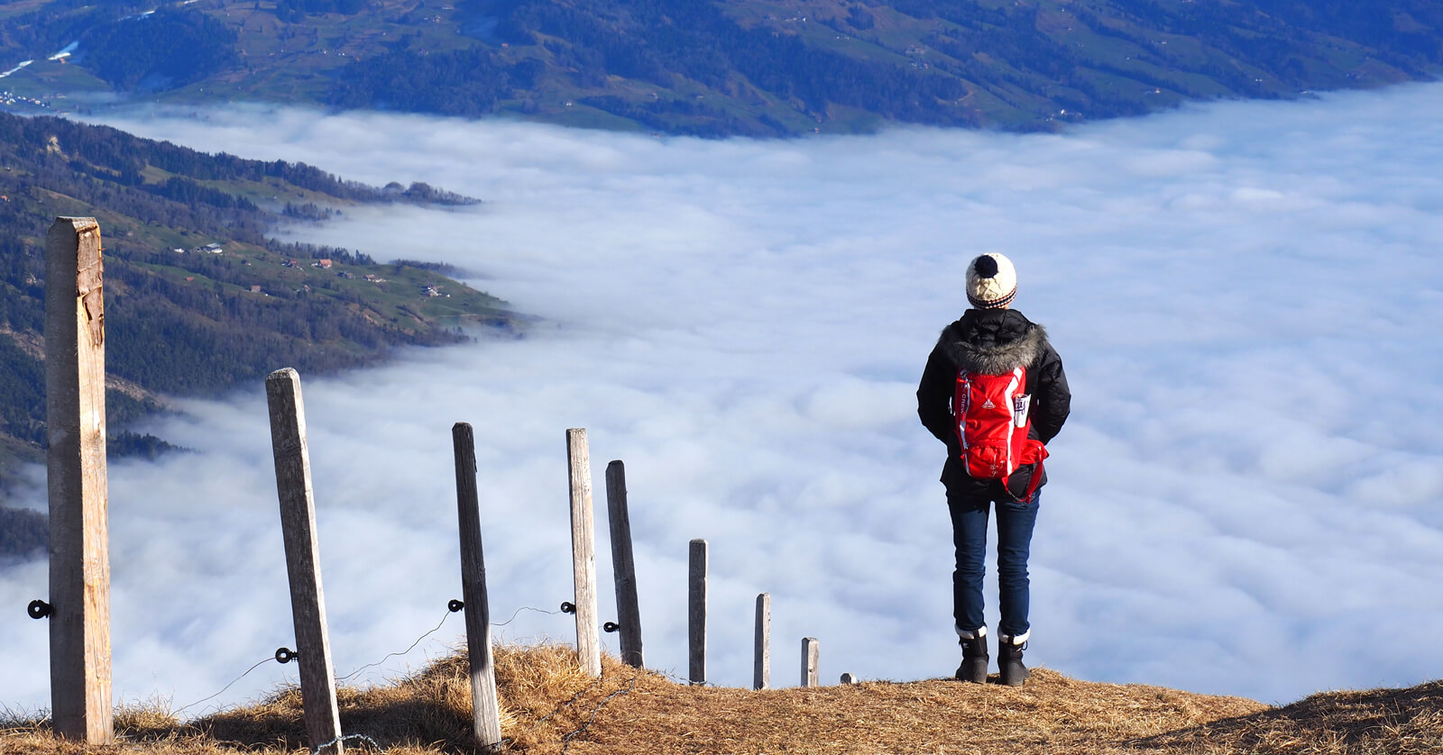 How to understand (and forecast) Swiss winter weather