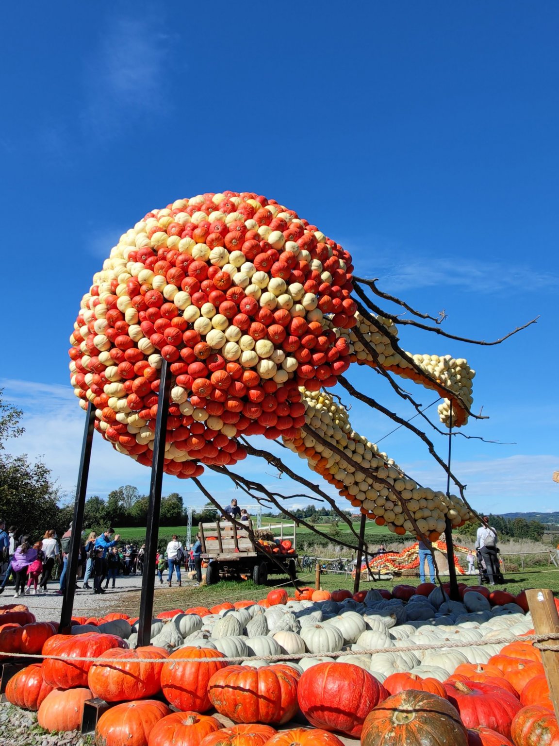 Autumn in Switzerland - Ultimate Guide to the Golden Season