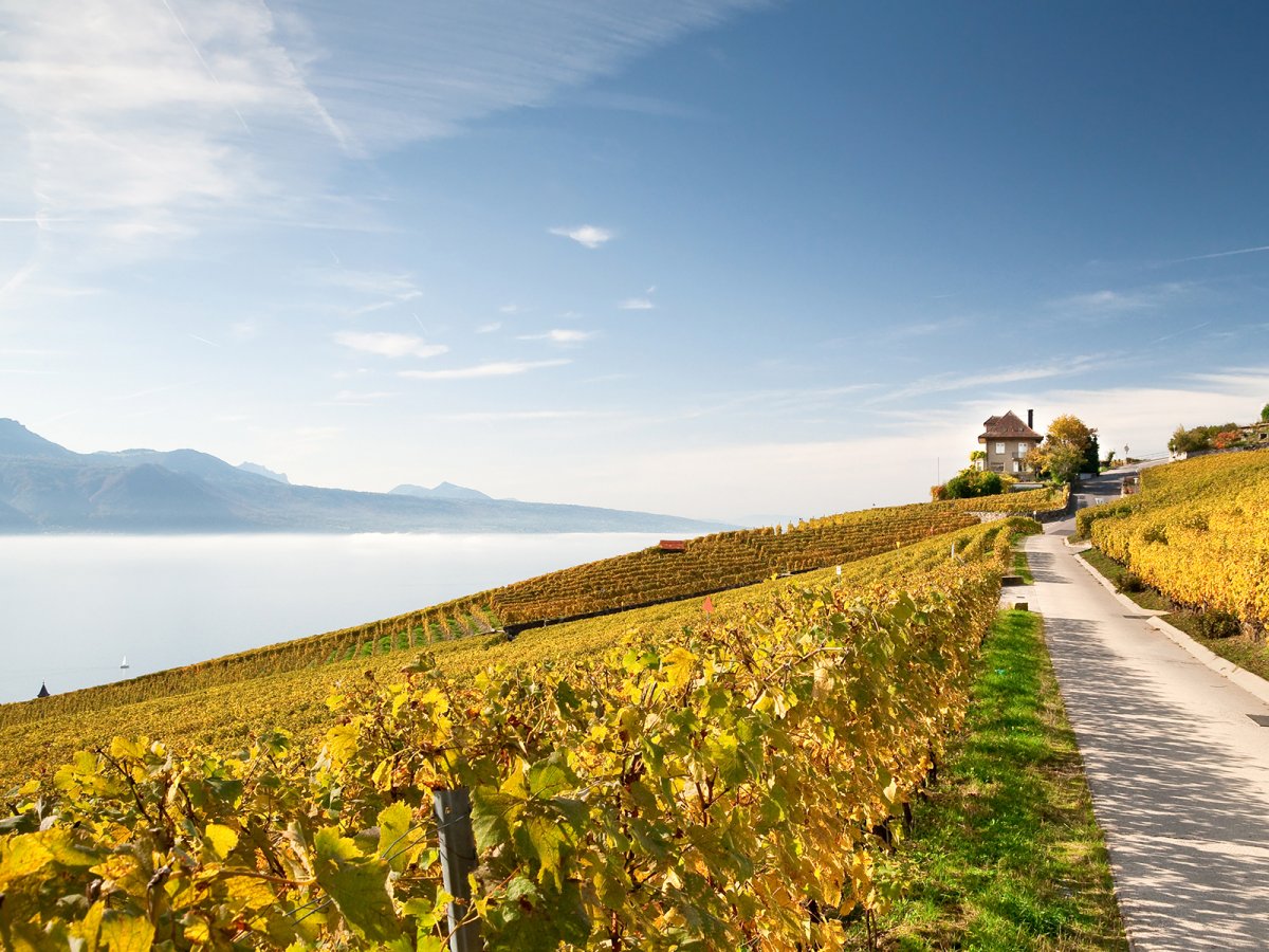 Autumn in Switzerland - Ultimate Guide to the Golden Season