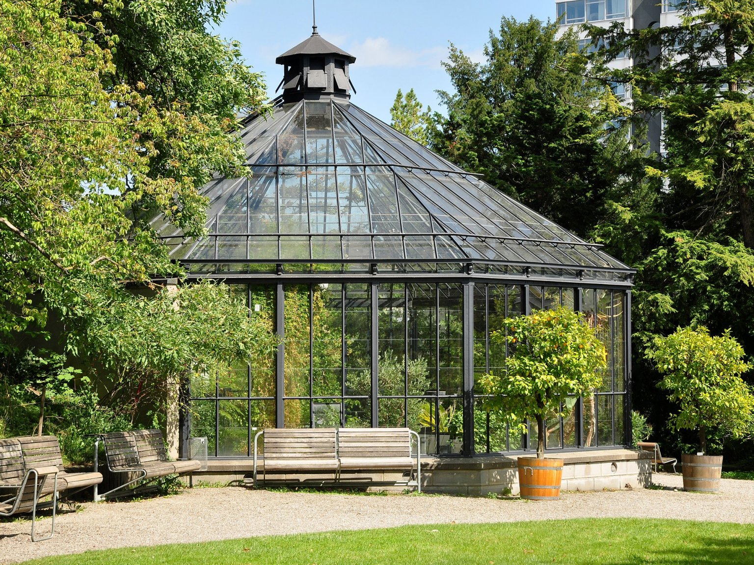 Botanical Gardens in Zurich with Free Admission in 2026 - Newly Swissed ...