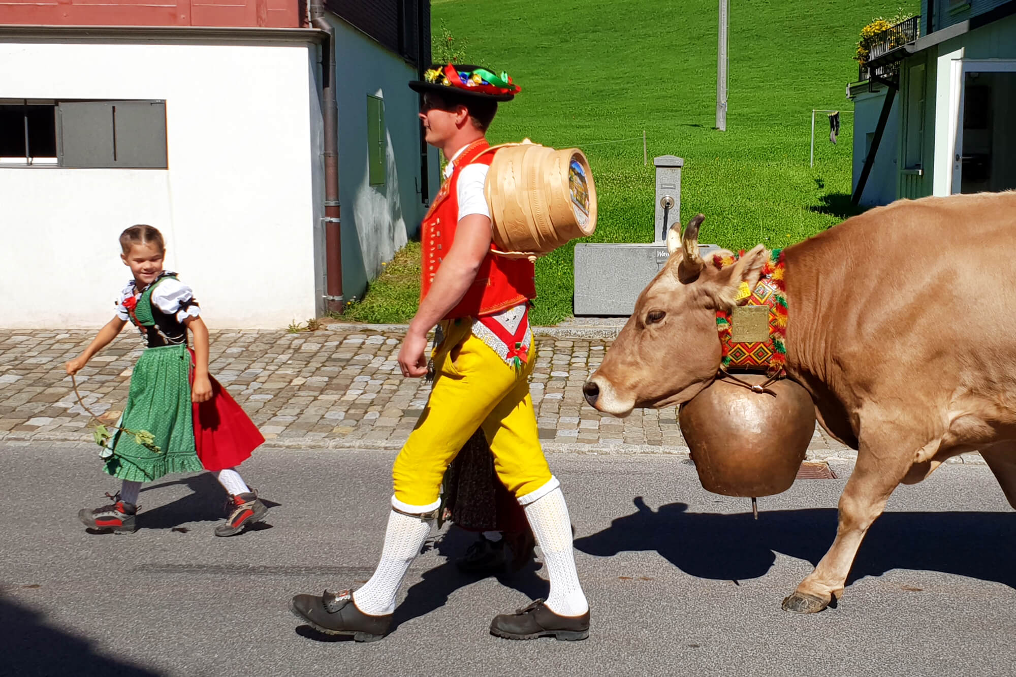 How Alpine Cow Parades in Appenzell Really Work (Alpabfahrt)