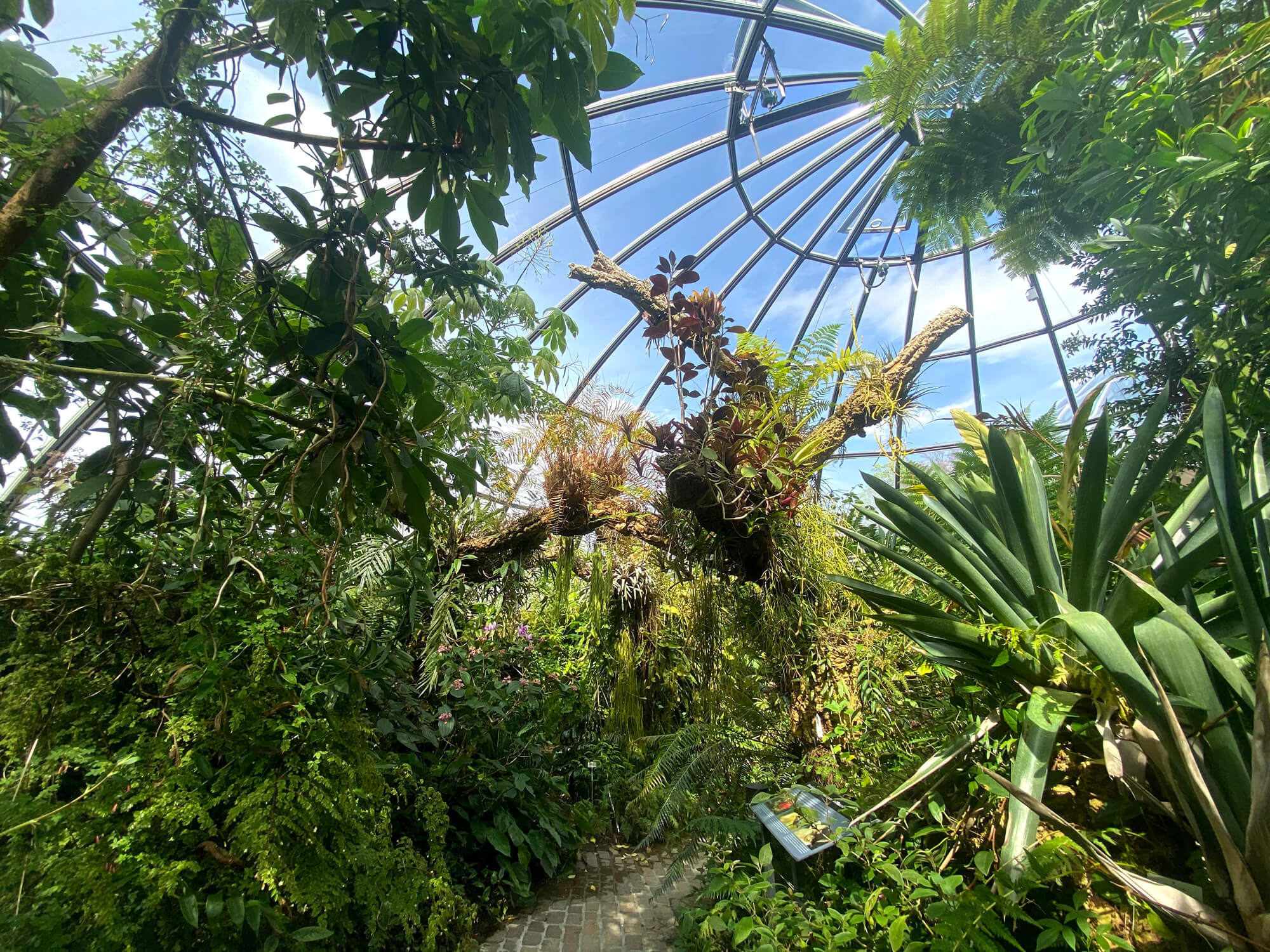 Botanical Gardens in Zurich with Free Admission in 2026 - Newly Swissed ...