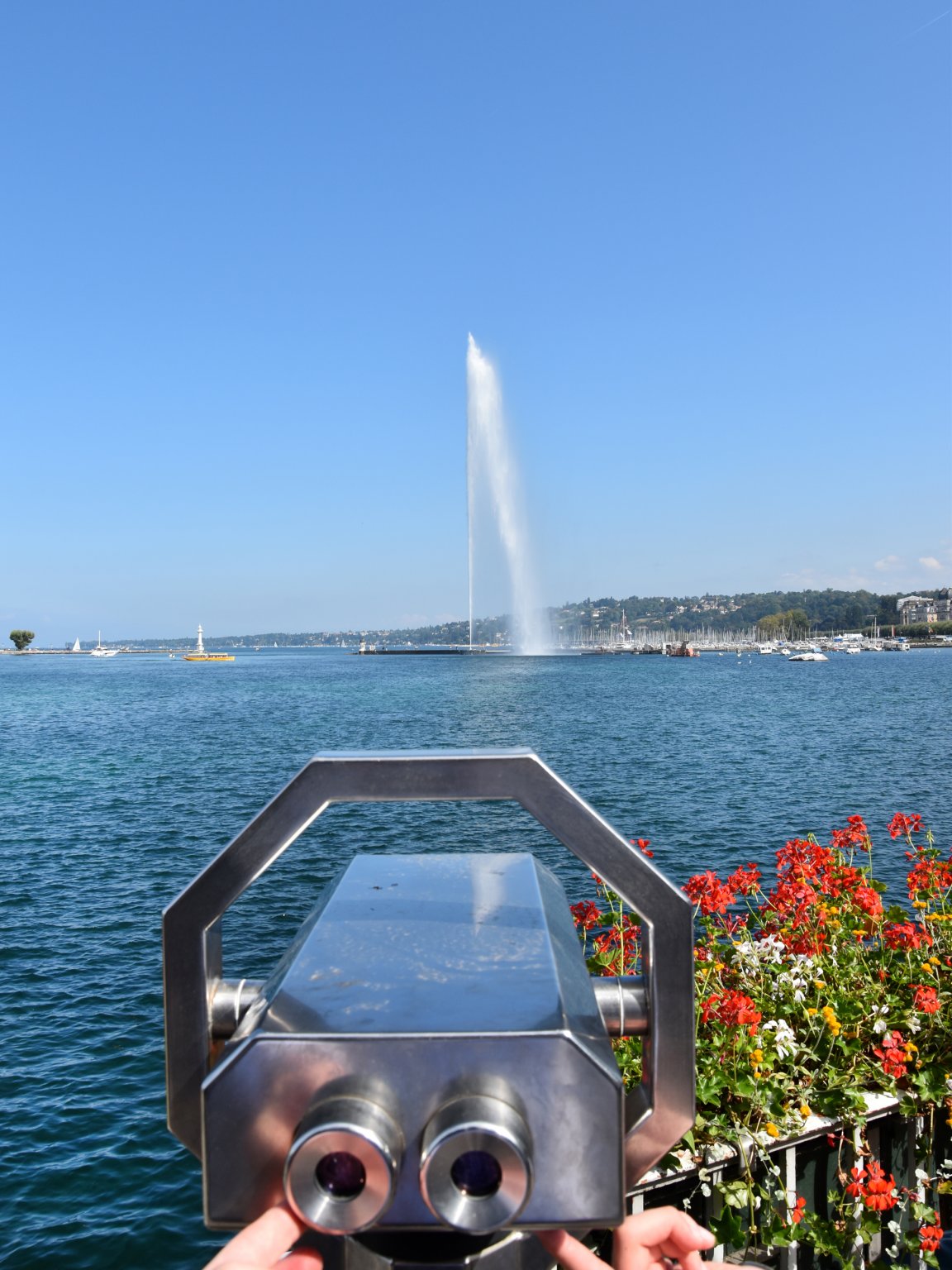48 hours in Geneva for watch lovers and wine aficionados