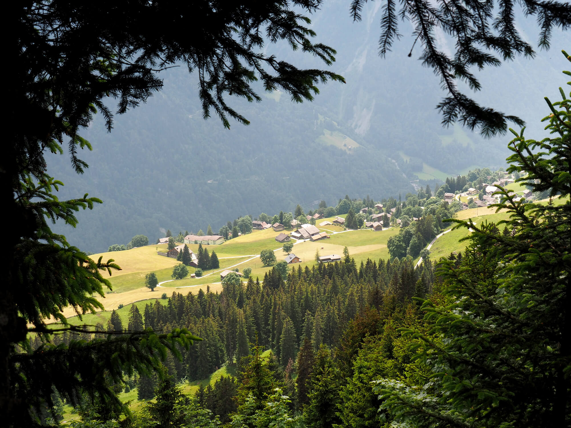 Alpinmuseum Braunwald highlights peak experiences