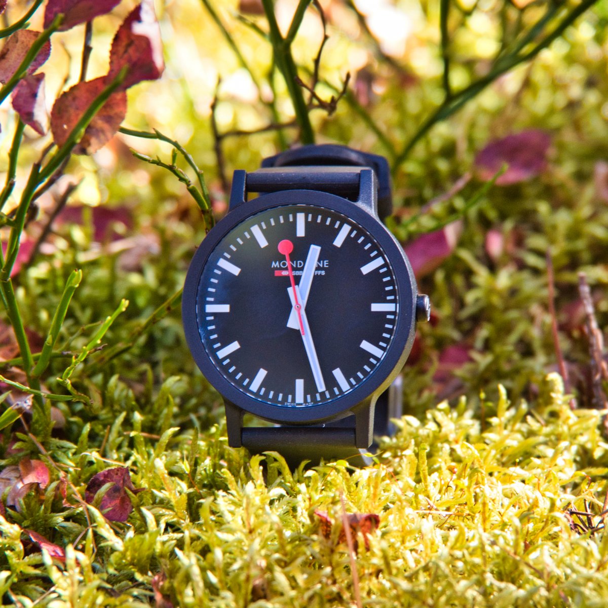 Nine reasons to (absolutely) love Switzerland - A love letter to ...