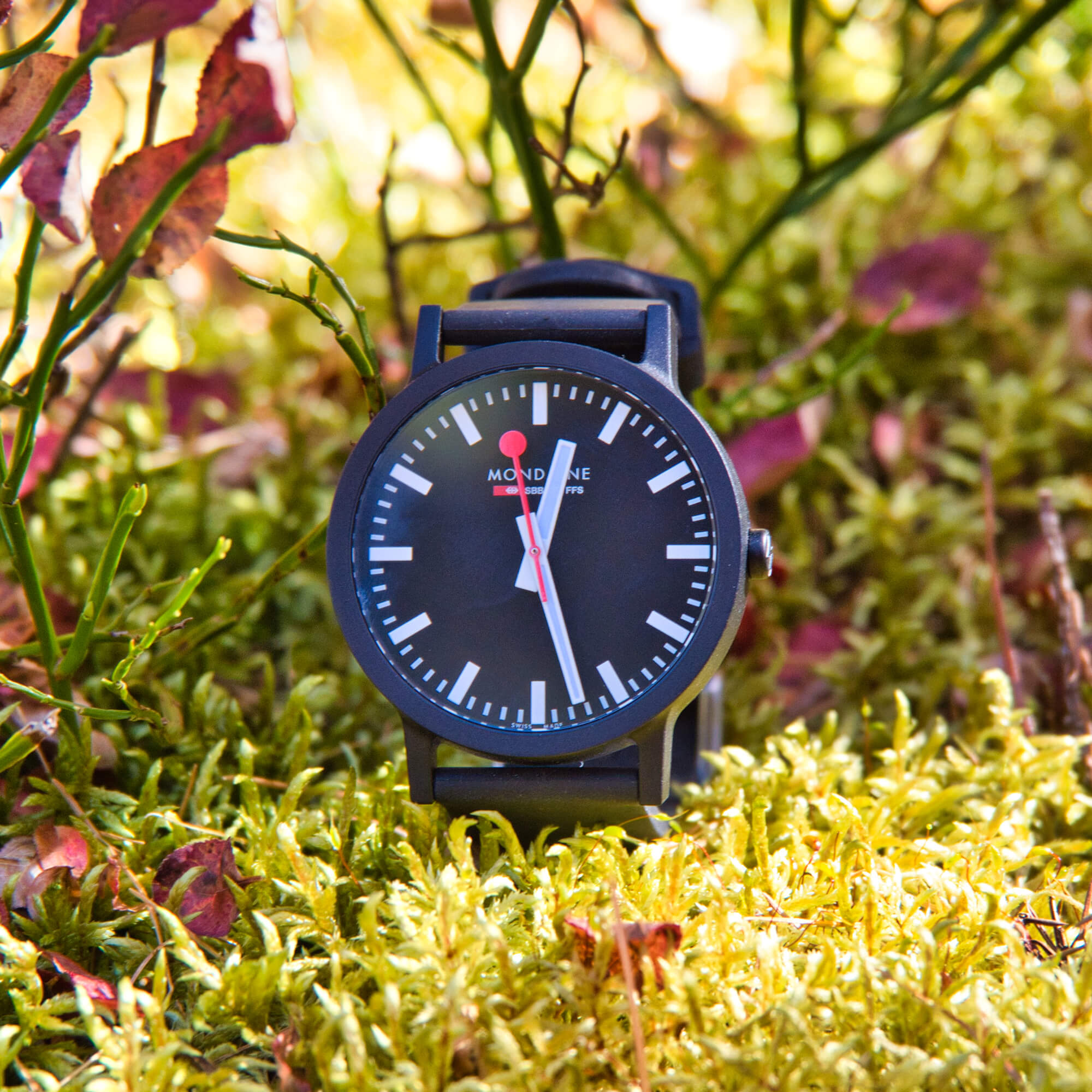 Nine reasons to (absolutely) love Switzerland - A love letter to ...