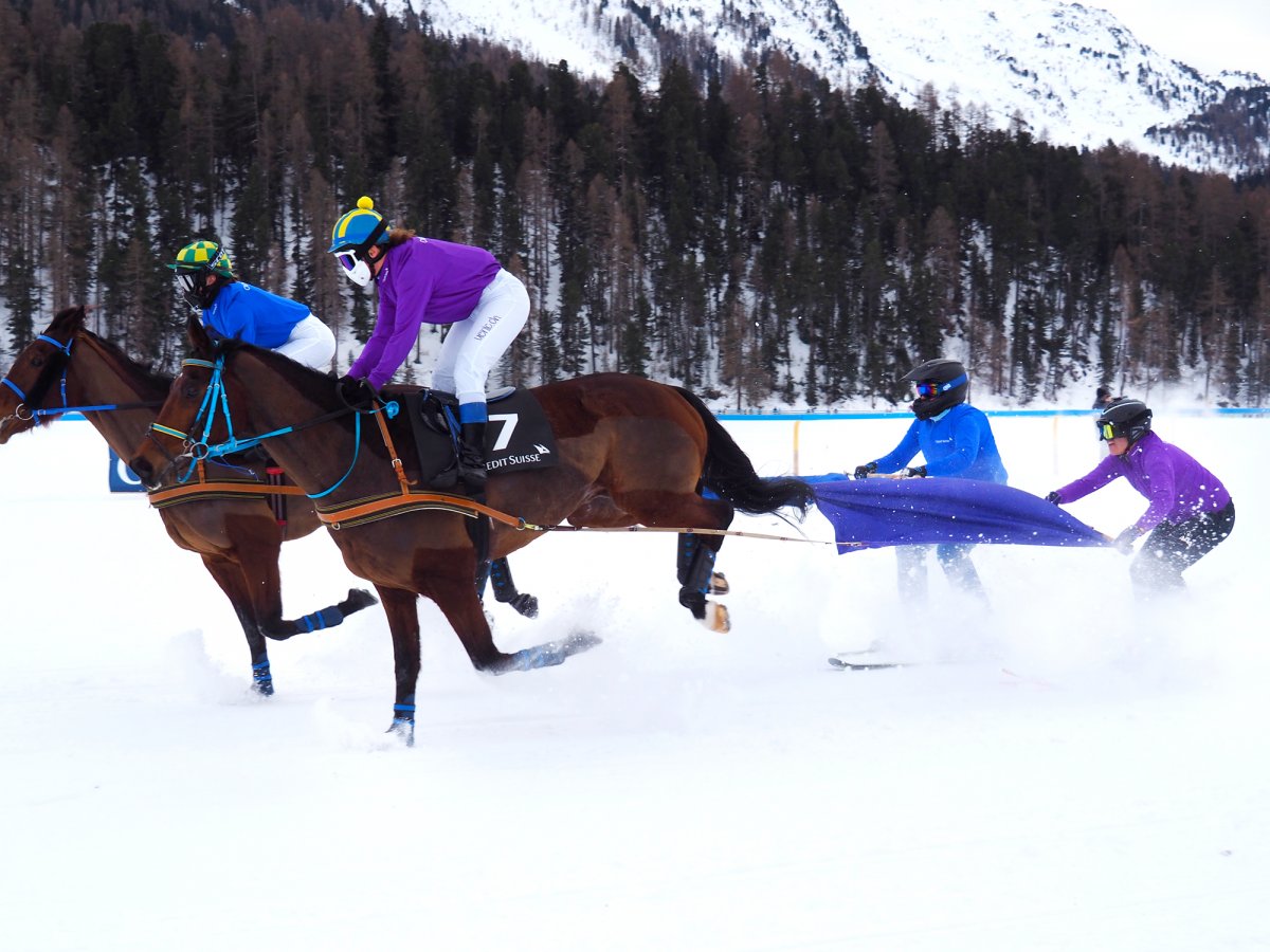 Skijoring in Switzerland: Insider Guide for First-Timers (2026) - Newly ...