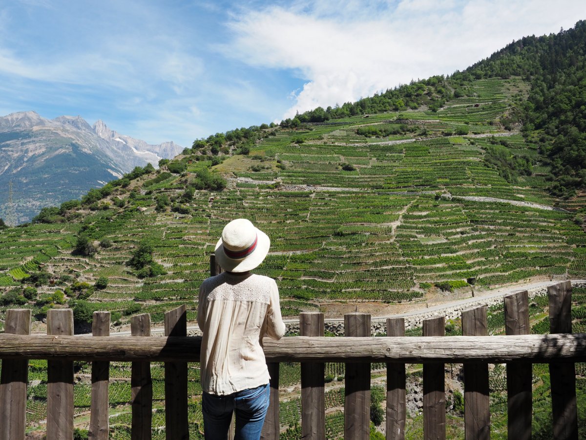 The Heida Wine Hike in Visperterminen for wine lovers