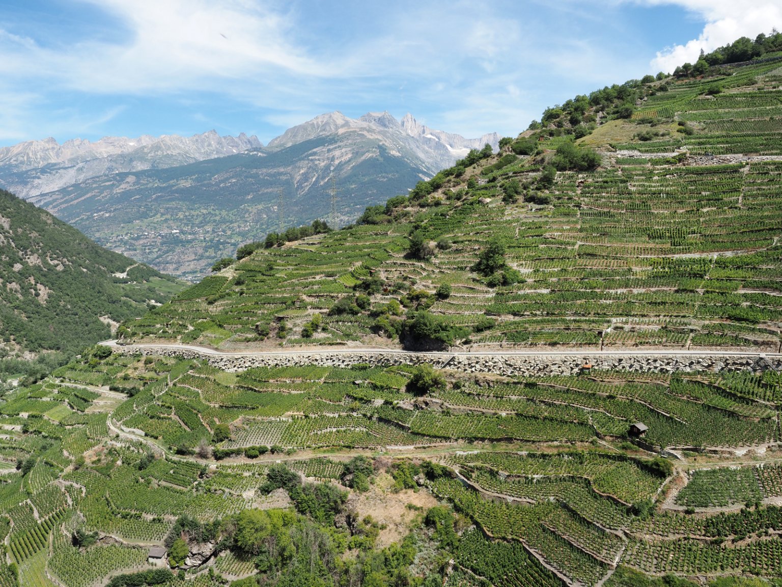 The Heida Wine Hike in Visperterminen for wine lovers