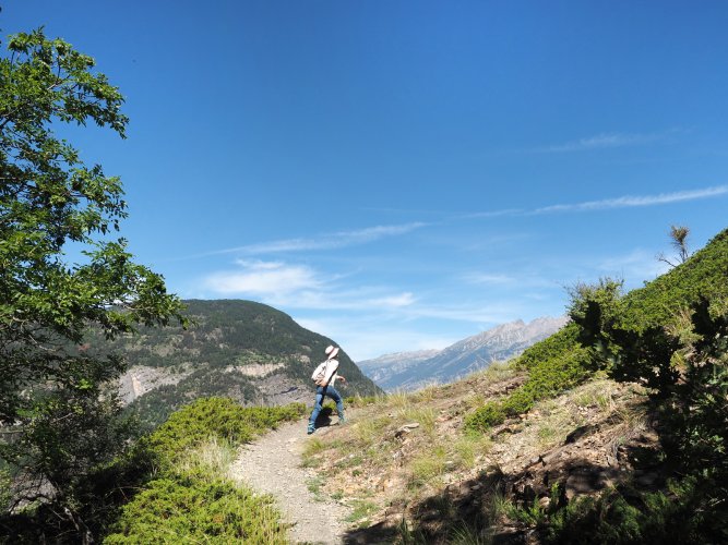 The Heida Wine Hike in Visperterminen for wine lovers