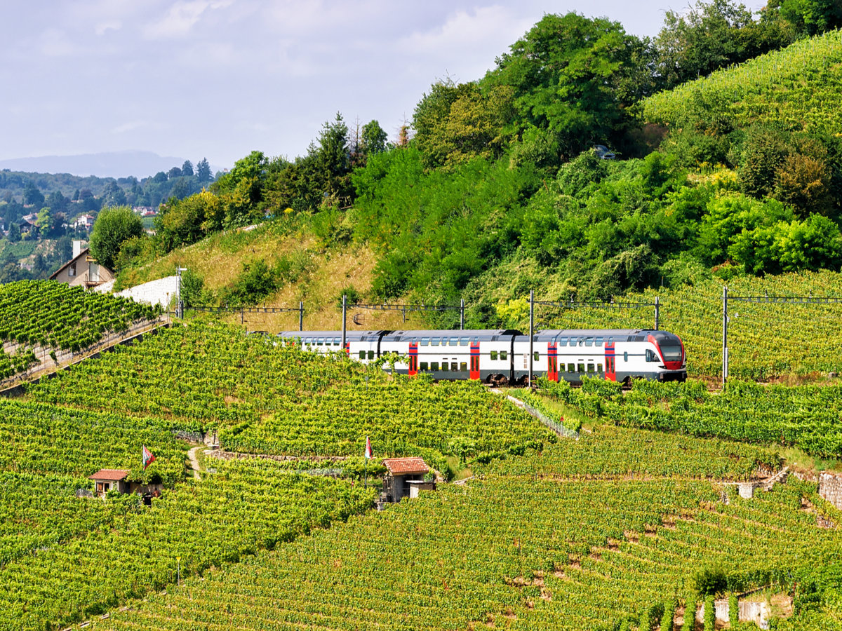 From Geneva to Zurich By Train: Duration, Prices, Schedules - Newly ...