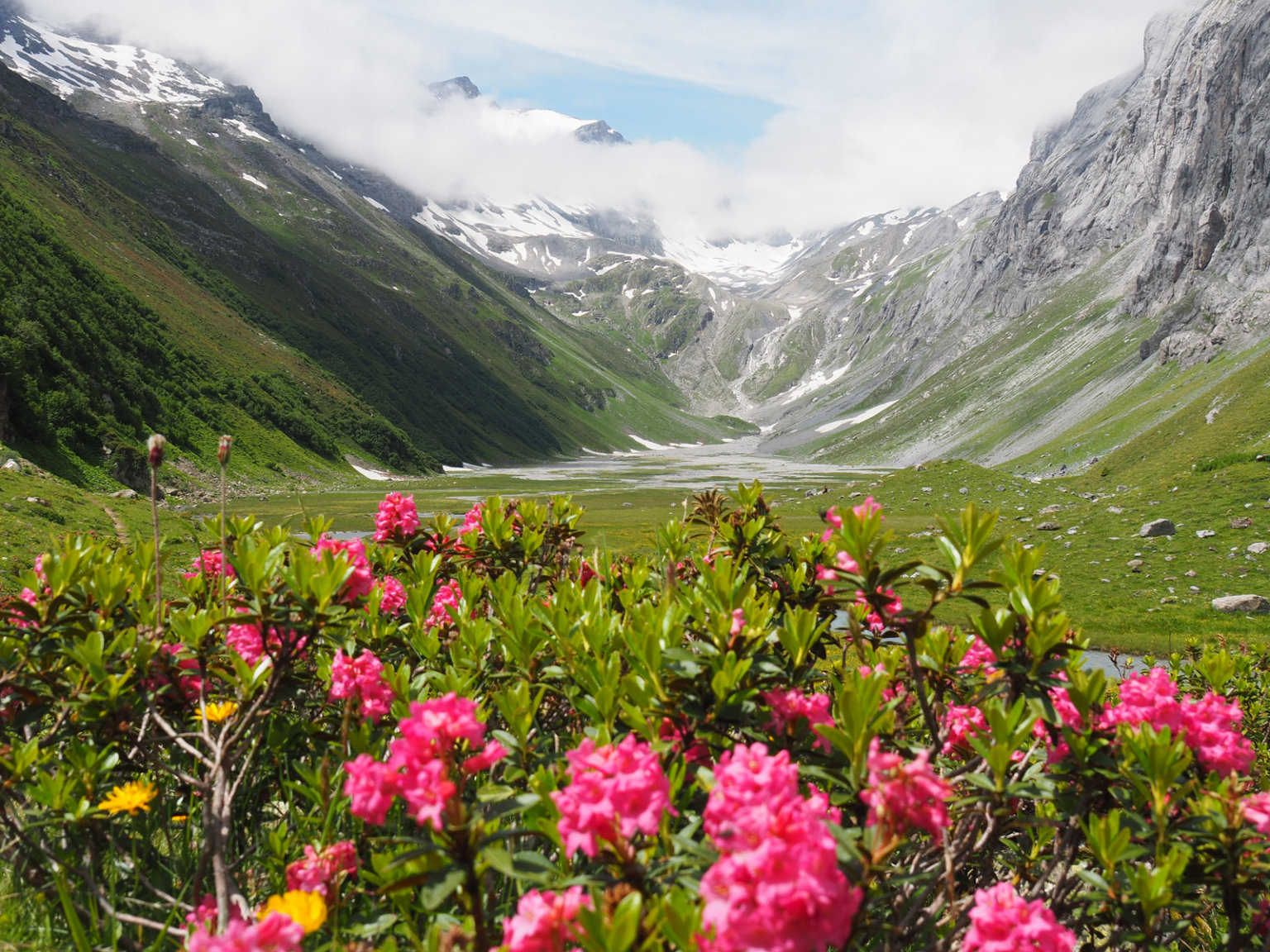 How to Beat Swiss Summer Crowds (2026 Guide) - Newly Swissed Online ...