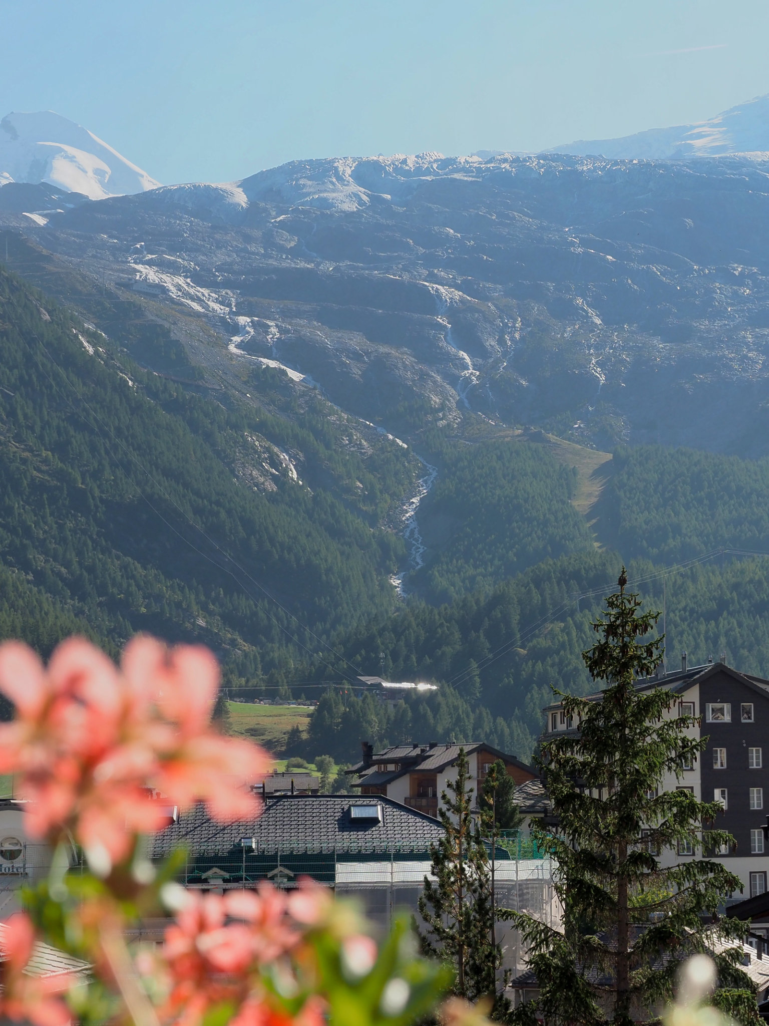 Slow Food in Valais: A Culinary Journey for Change - Newly Swissed ...