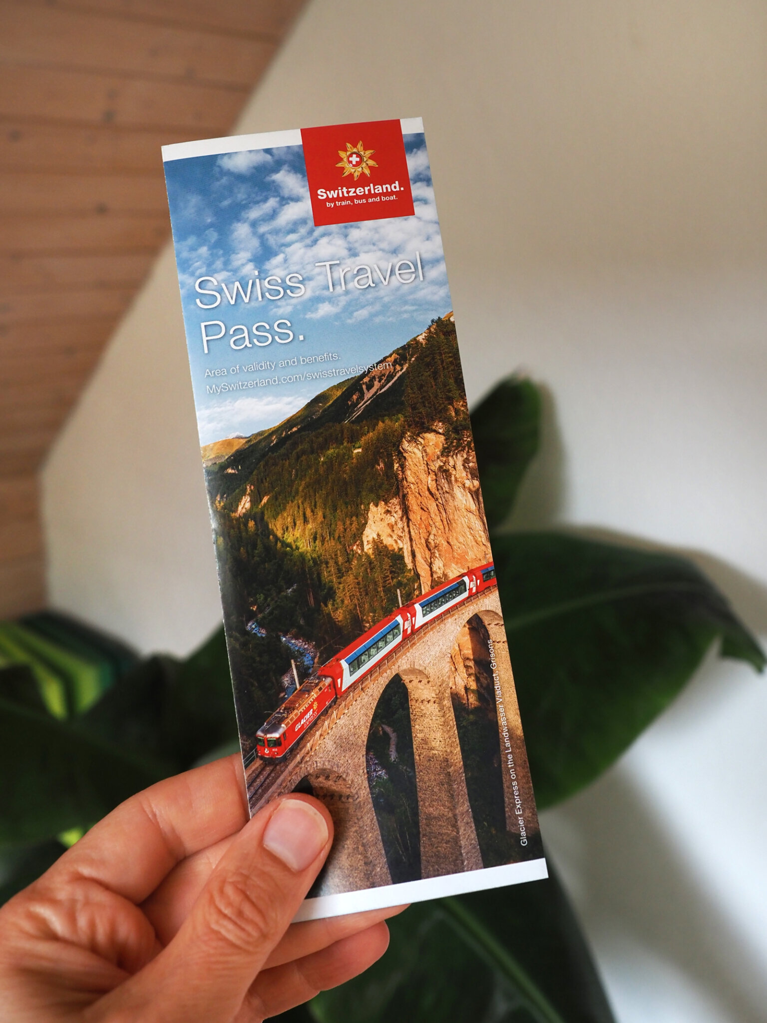 Swiss Travel Pass FAQs: Helpful Answers for 2026 - Newly Swissed Online ...