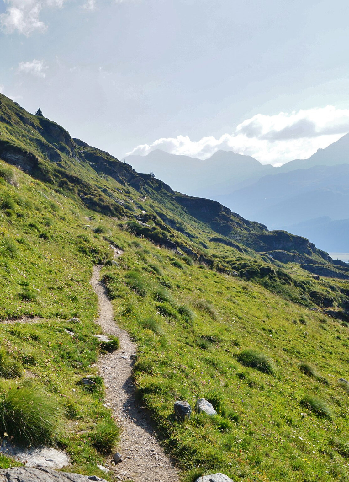 Ultimate Swiss Alps Hiking Trails Guide: 7 Life-Changing Routes - Newly ...