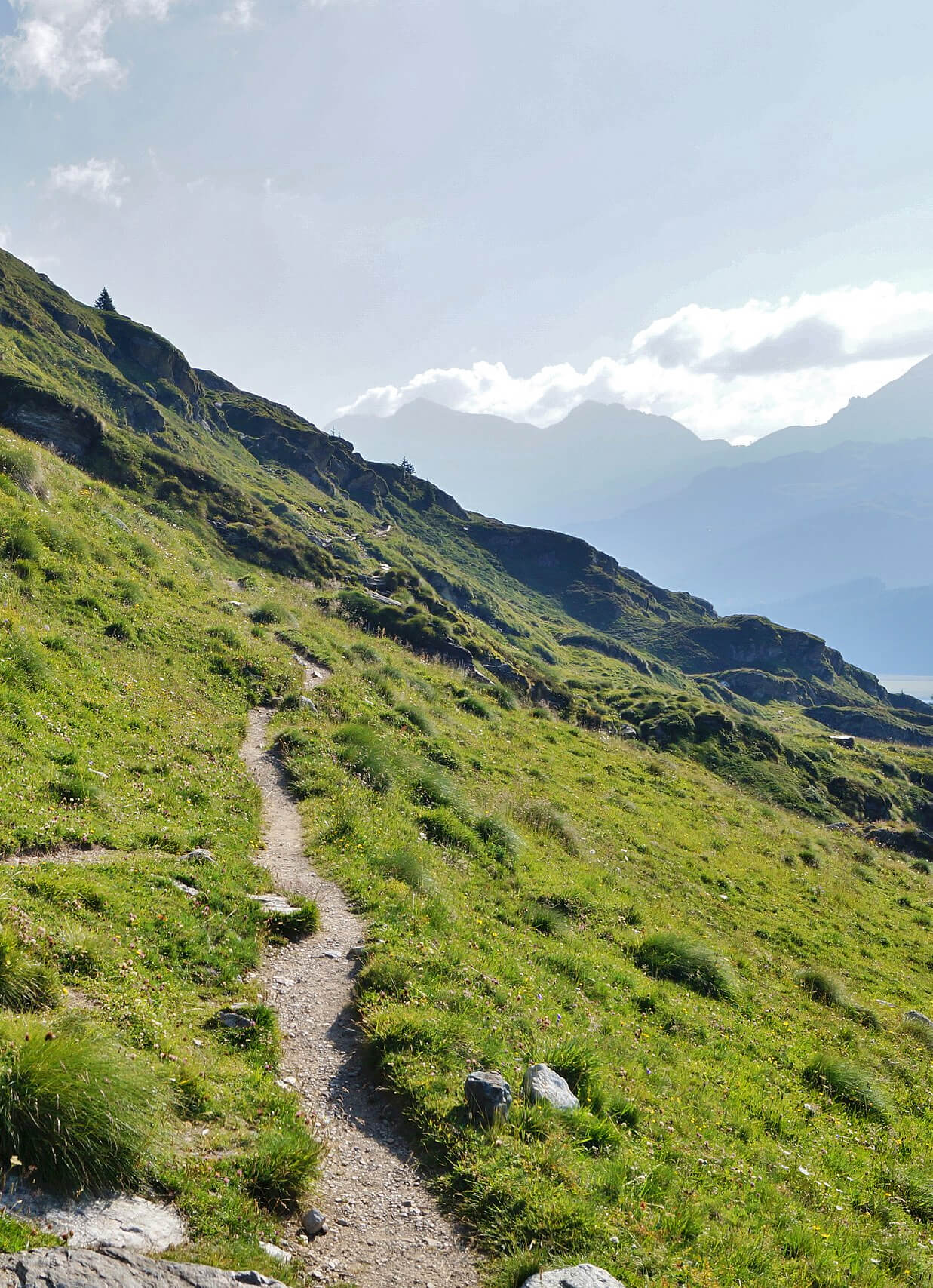 Ultimate Swiss Alps Hiking Trails Guide: 7 Life-Changing Routes
