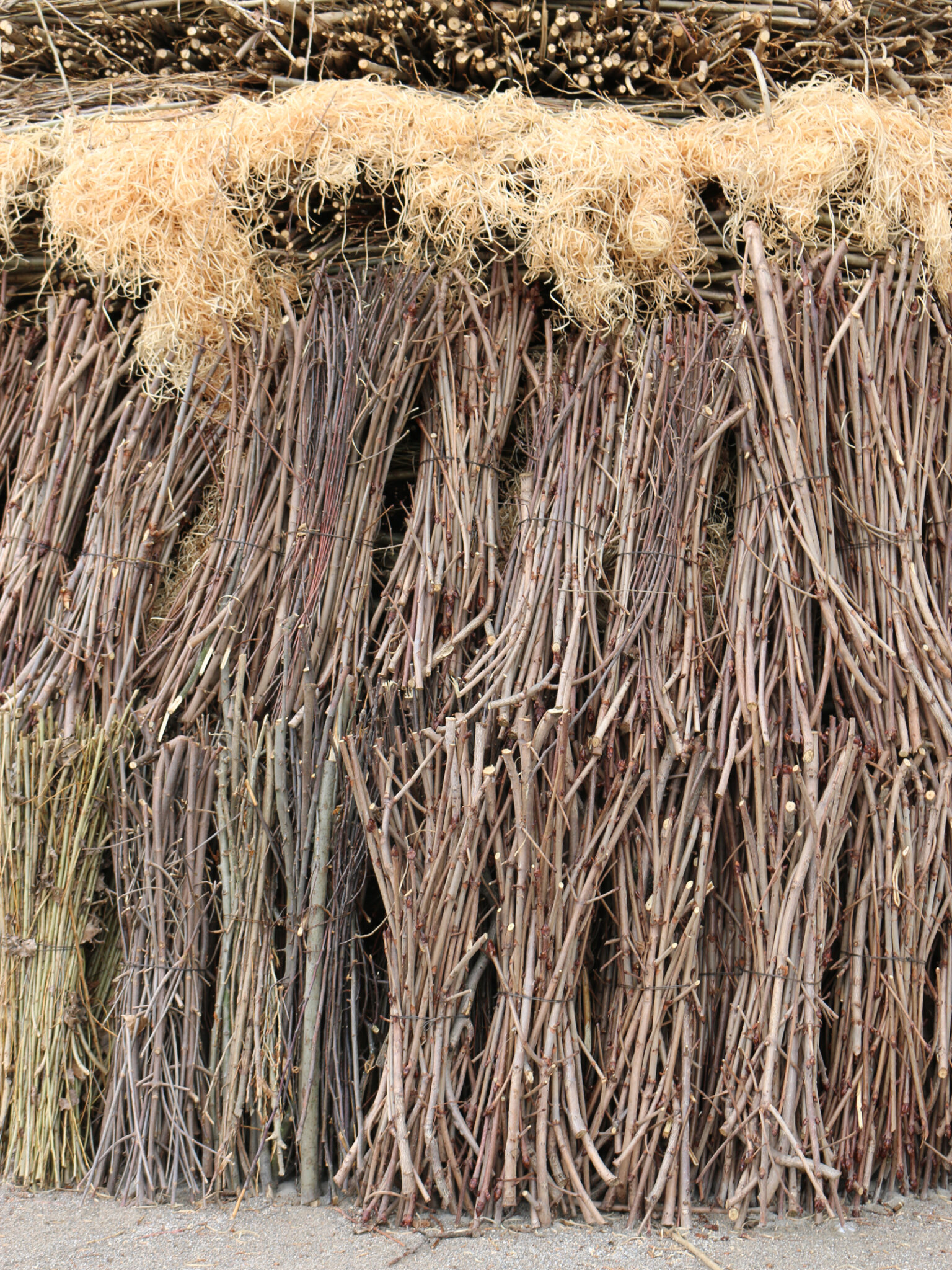 Zurich Snowman: Cheat Sheet to the Burning of the Böögg