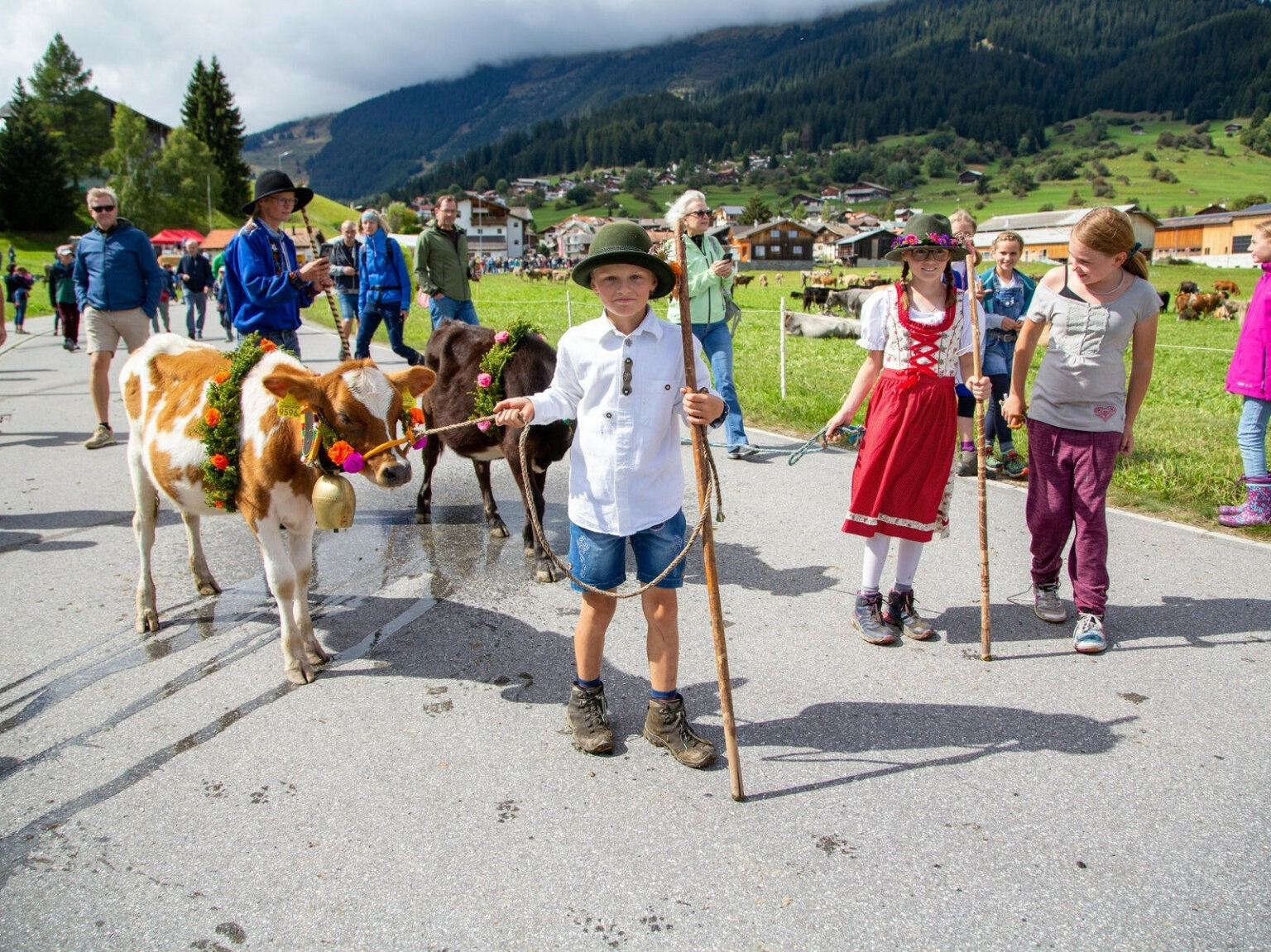 Alpine Cow Parades and Alp Processions in Switzerland: Complete 2025 ...